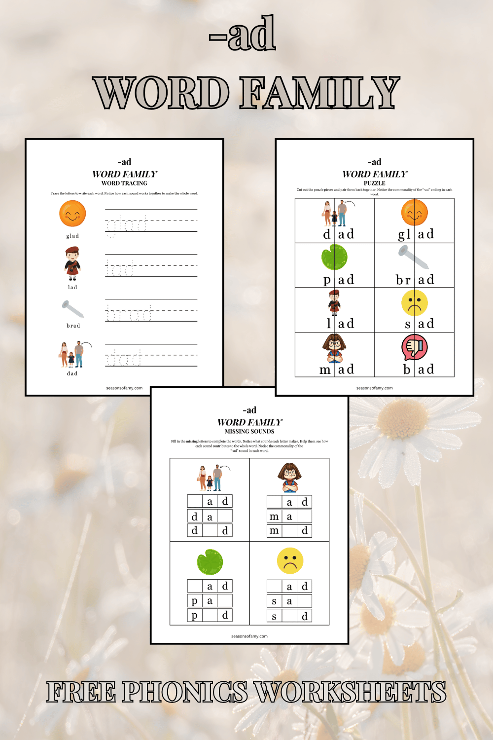 -ad Word Family Worksheets: Early Literacy Phonics Instruction ...