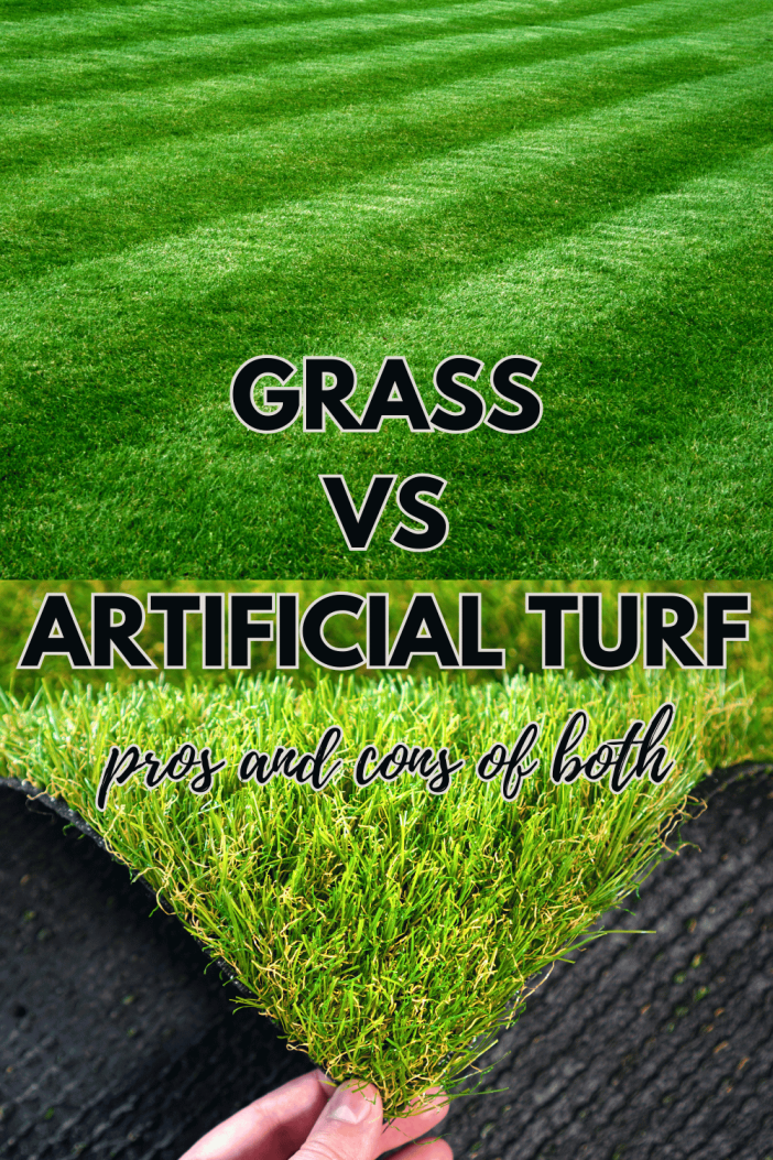 Artificial Turf Pros and Cons in Phoenix: What We Decided - Seasons of Amy